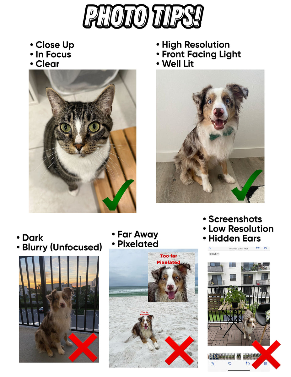 Acrylic Wedding Welcome Sign, My Humans, Pet Dog Cat Greeting Sign ...